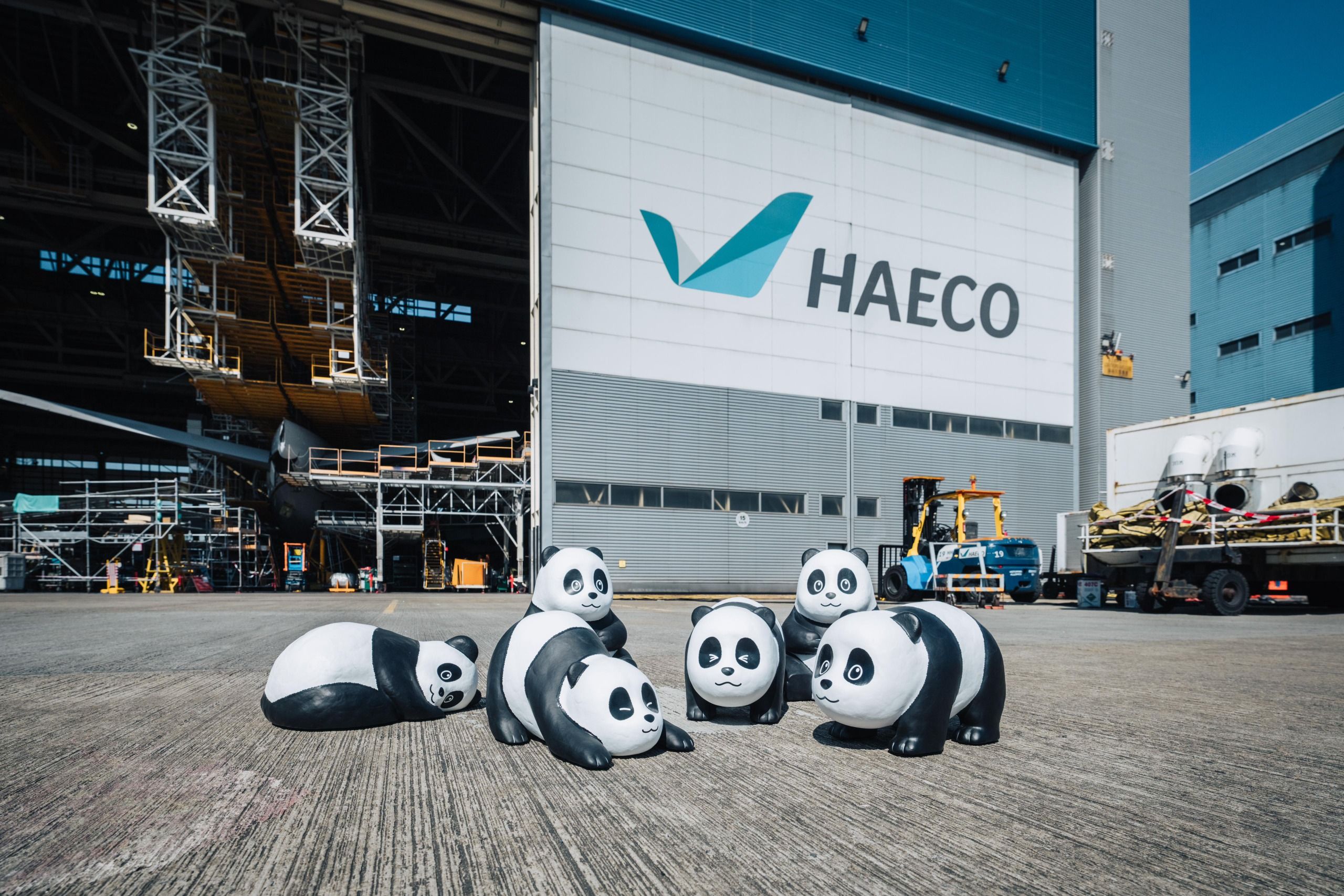 Seeing panda magic come alive at HAECO